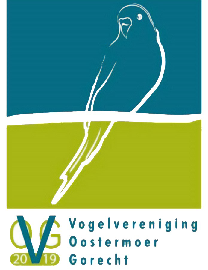 NBVV district groningen - HOME